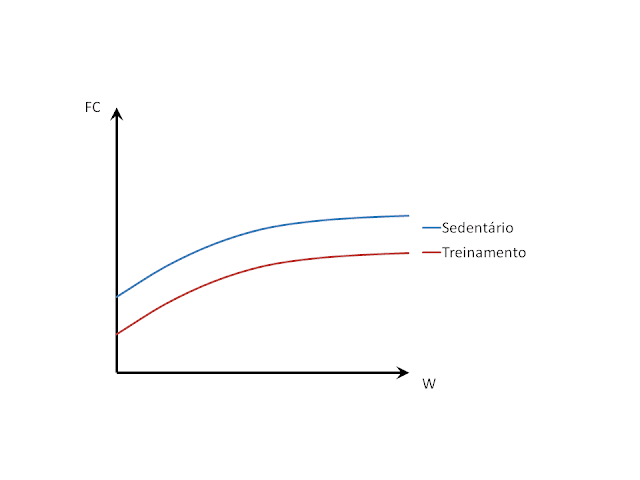 Fisio Ex Fisio: Cardiovascular parte I - VS, FC, Q.